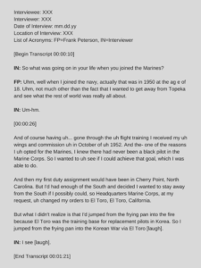 3 Examples of Transcribed Interviews