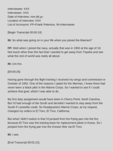 3 Examples of Transcribed Interviews